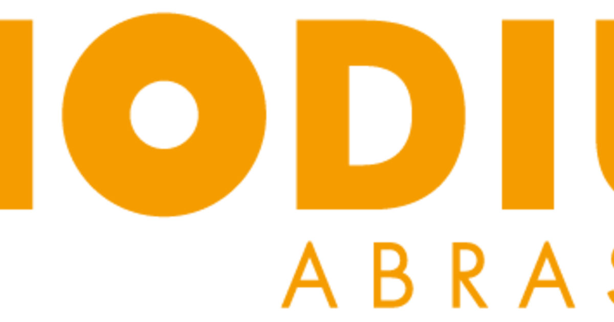 Ausbildungsbetrieb: RHODIUS Abrasives GmbH